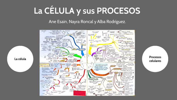 La célula y sus procesos by ANE ESAIN LARREA on Prezi