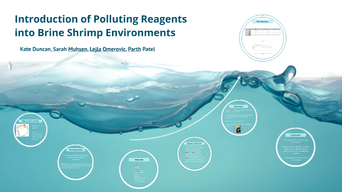 Pollution in Brine Shrimp Environments by Lejla Omerovic on Prezi