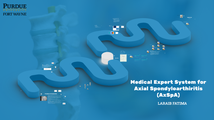 Exploring Medical Expert System by Laraib Fatima on Prezi