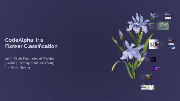 CodeAlpha: Iris Flower Classification 🌸 by Vaibhavi Dhankhar on Prezi
