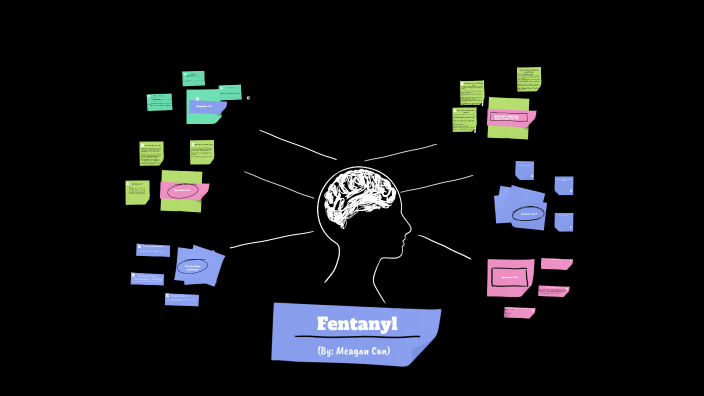 Drug Research Project by Meagan Cannon on Prezi