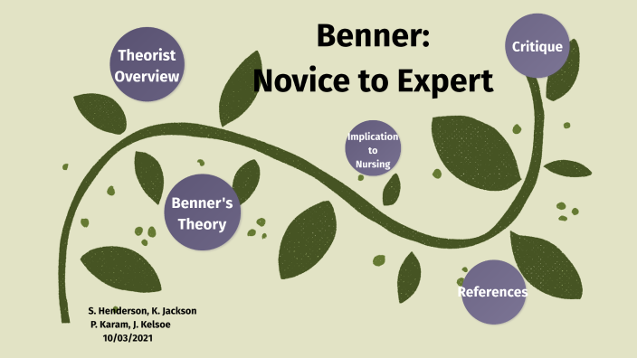 Benner- From Novice to Expert by Leb sanfoura on Prezi