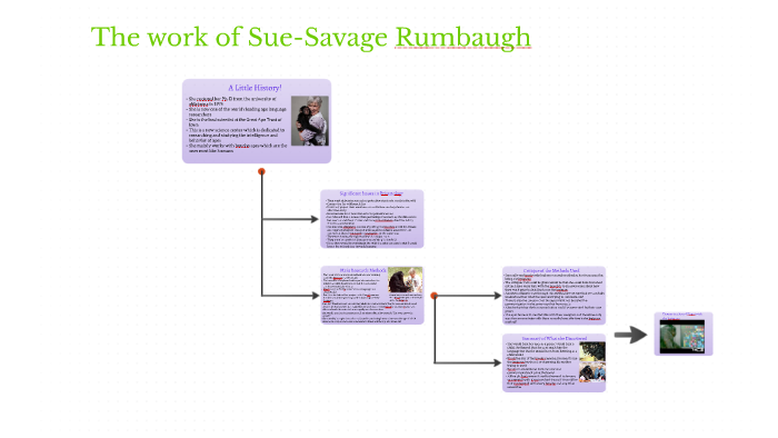 The work of Sue-Savage Rumbaugh by Cass Pappalardo on Prezi