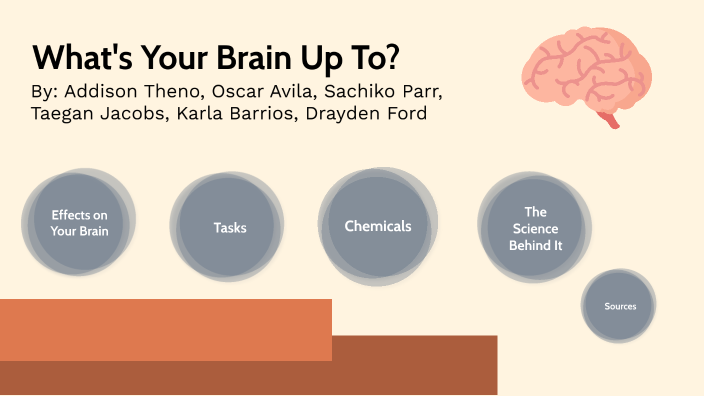 Battle of the Brains-Brain Chemicals by Addison Theno on Prezi