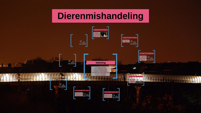 Dierenmishandeling by nienke bruin on Prezi