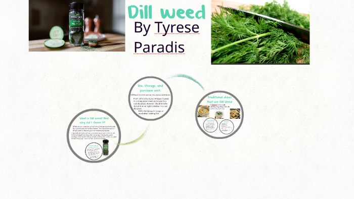 Dilweed by tyrese paradis on Prezi