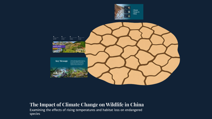 The Impact of Climate Change on Wildlife in China by Diego Di Giacomo ...