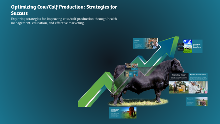 Optimizing Cow/Calf Production: Strategies for Success by Jessica ...