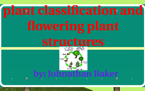 plant classification by john jones on Prezi