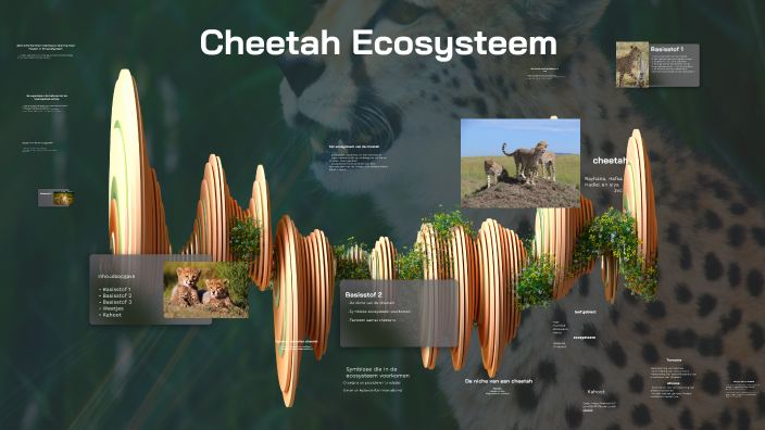 Cheetah Ecosystem by Hafsa Talhaoui on Prezi