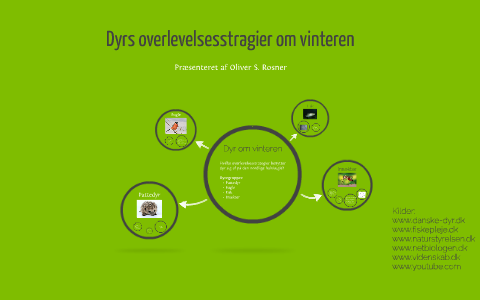 Dyr om vinteren by Oliver Rosner on Prezi
