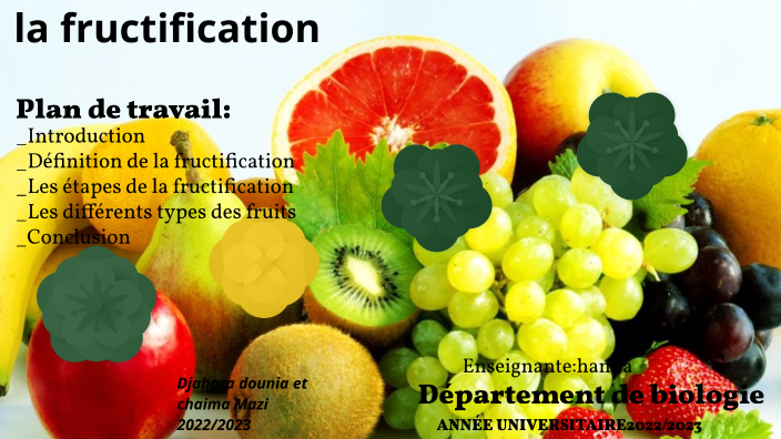 la fructification by عالم دنيا on Prezi