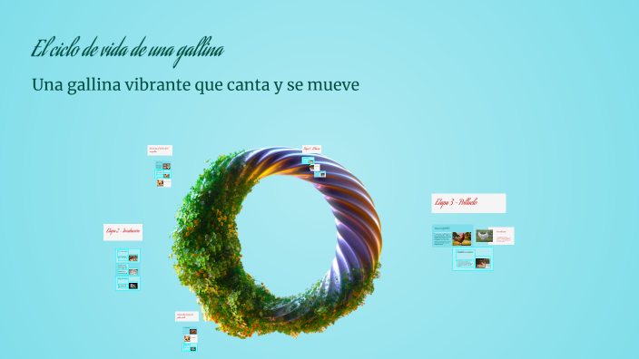 El ciclo de vida de una gallina by Mendez Rodriguez on Prezi
