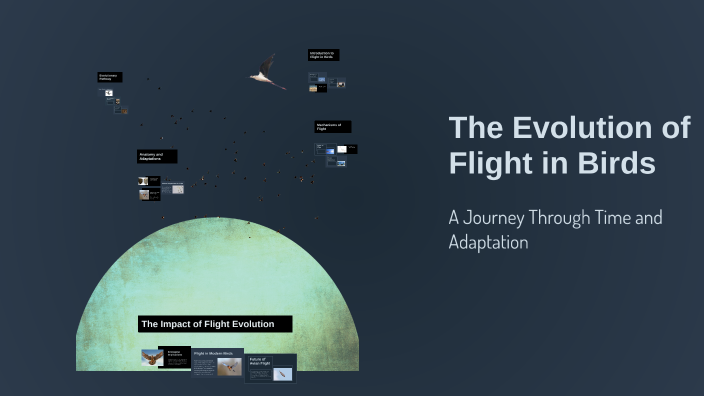 The Evolution of Flight in Birds by malehloa tlali on Prezi