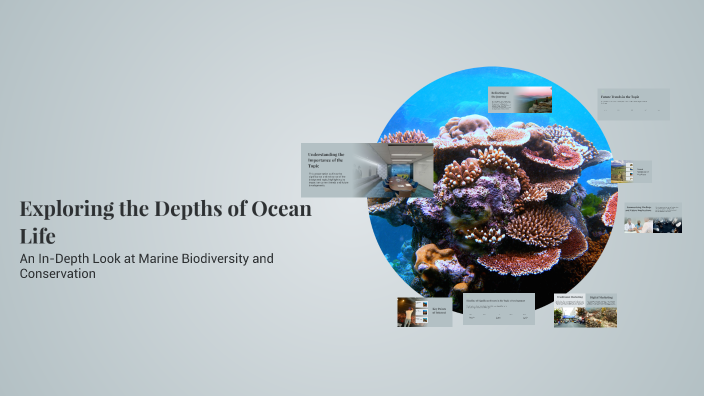 Exploring the Depths of Ocean Life by Yagya Sayz on Prezi