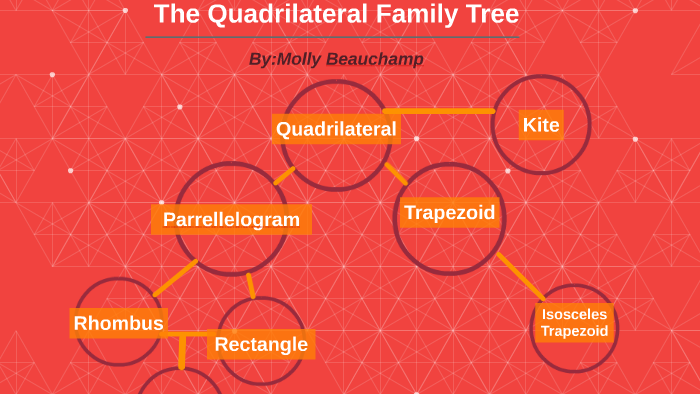 The Quadrilateral Family Tree by Molly Beauchamp