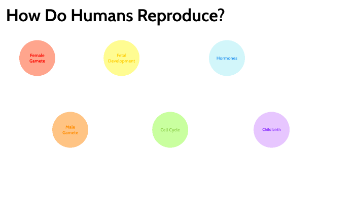 How Do Humans Reproduce? by Kasey Christianson on Prezi