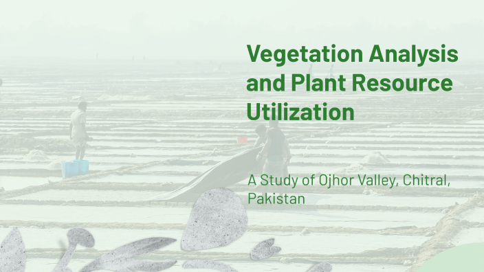 Vegetation Analysis and Plant Resource Utilization by Dr. Thomas Müller ...