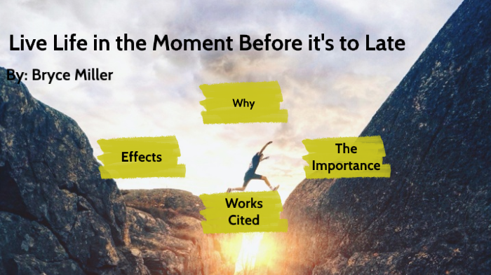 Motivational Visual Aid by Bryce Miller on Prezi