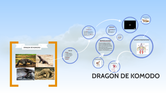 DRAGON DE COMODO by ivan ponce luque on Prezi