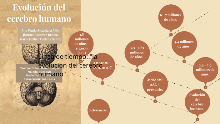 Evolución del cerebro humano by Ana Paula Alcántara Alba on Prezi