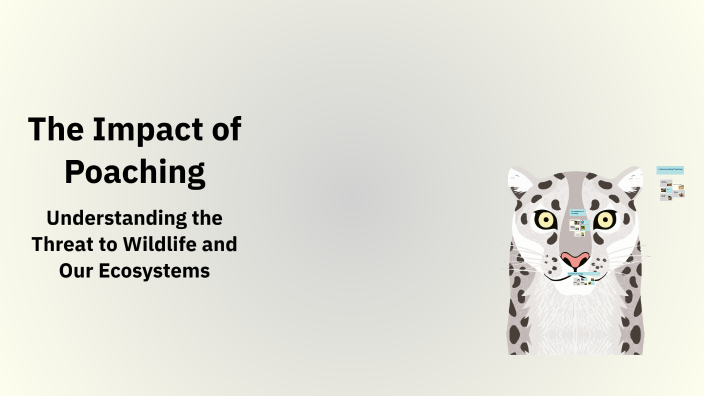 The Impact of Poaching by khadija seck on Prezi