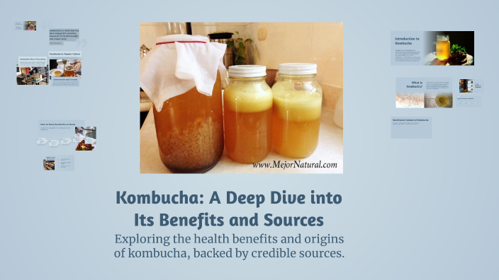 Kombucha: A Deep Dive into Its Benefits and Sources by witri winanda on ...