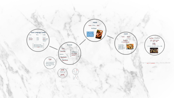 Slavic Language Family by Milica K