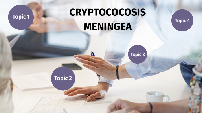 CRIPTOCOCOSIS MENÍNGEA by Suanny kactherine Murillo Rivas on Prezi