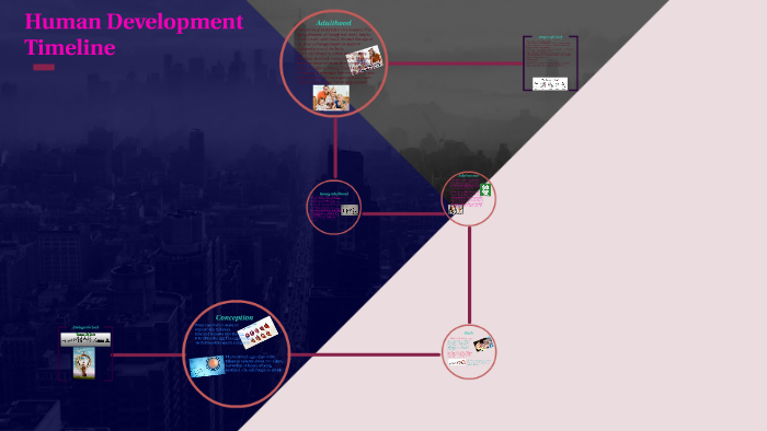 Human Development Timeline by morgan johnson on Prezi