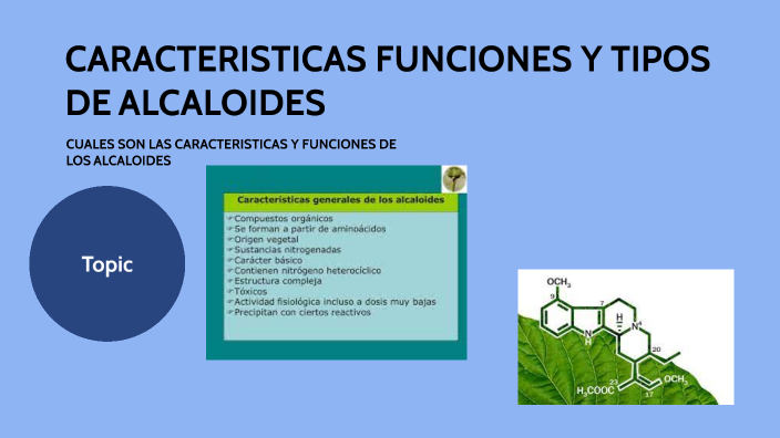 CARACTERISTICAS FUNCIONES Y TIPOS DE ALCALOIDES by Roxana Nova Ramos on ...