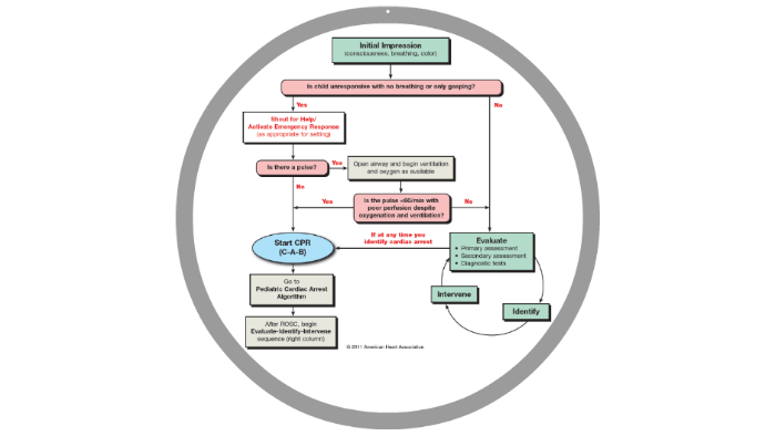 PALS Systematic Approach Algorithm by Anne Fallon on Prezi PALS Systematic Approach Algorithm by Anne Fallon on Prezi