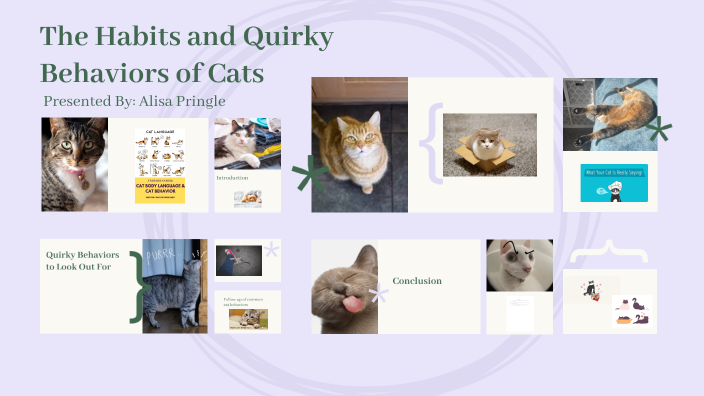 Informative Visual Aid by Alisa Pringle on Prezi