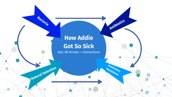 Bacteria Addie Model Final by Benjamin Villanueva on Prezi