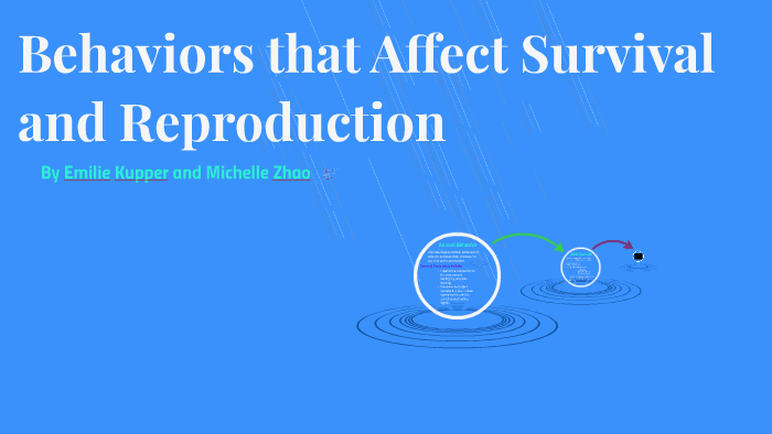 Behaviors that Affect Survival and Reproduction by H.A.Z.M.M K on Prezi