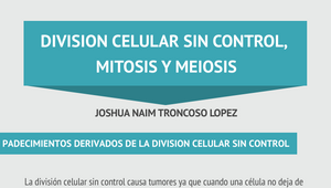padecimientos derivados de la división celular sin control, así como de la mitosis y meiosis by ...