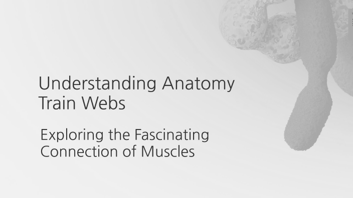 Understanding Anatomy Train Webs by 혁 이 on Prezi