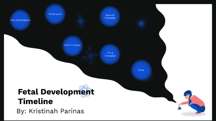 Fetal Development Timeline Project by Kristinah Parinas on Prezi