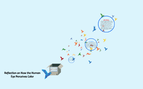 Reflection on How the Human Eye Perceives Color by Kaylah Belizaire on ...