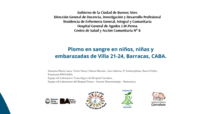 Plombemia en niños y embarazadas de Villa 21-24. by Evelyn Gisela ...