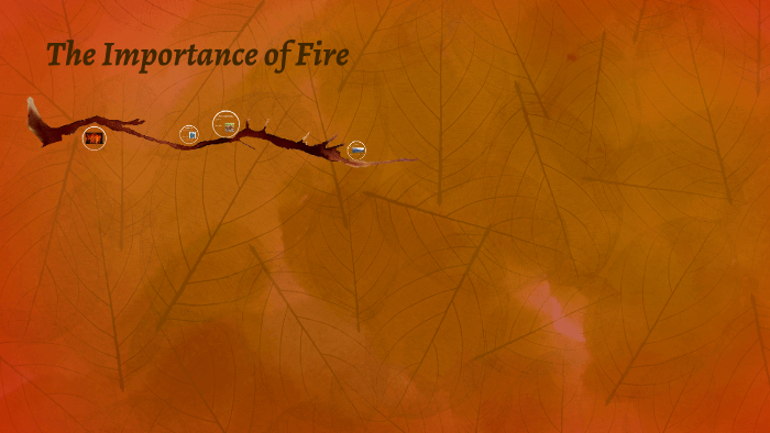 The Importance of Fire by Nicholas Sevier on Prezi