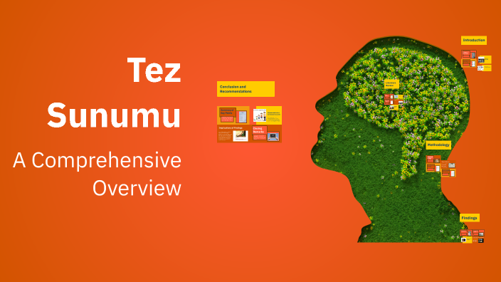 Tez Sunumu by Mohamed daher on Prezi