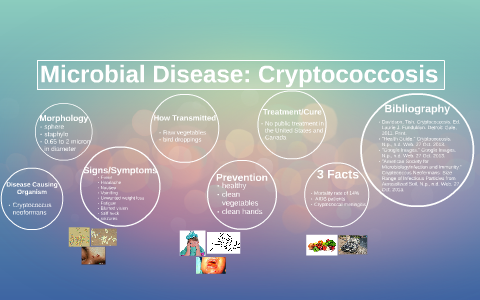Microbial Disease: Cryptococcosis by Morrisey Franklin on Prezi
