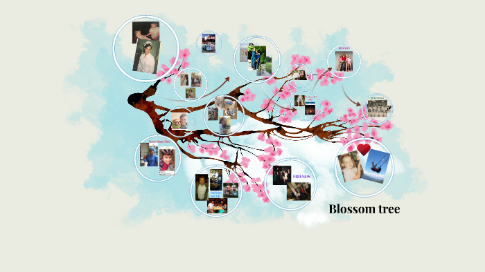 Blossom tree by on Prezi
