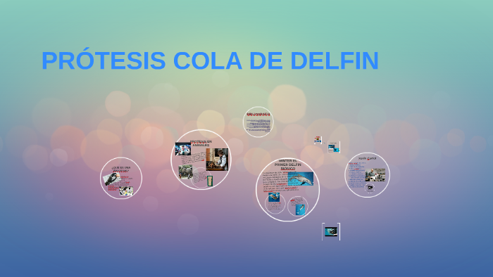 PROTESIS DE DELFIN by Laura Garavito on Prezi