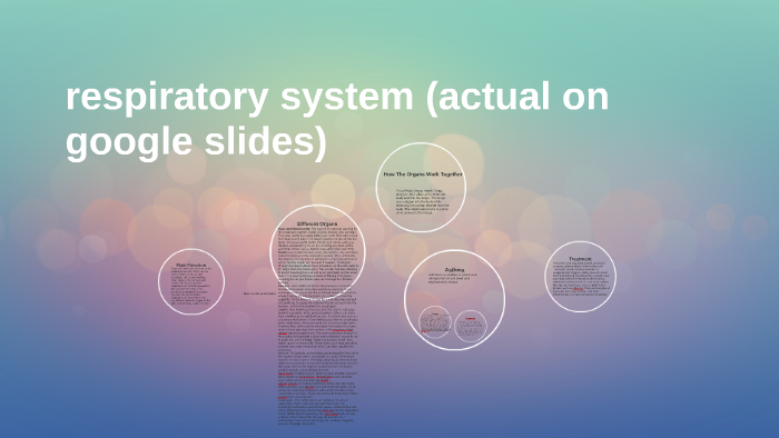 respiratory system (actual on google slides) by Alycia Godfrey on Prezi