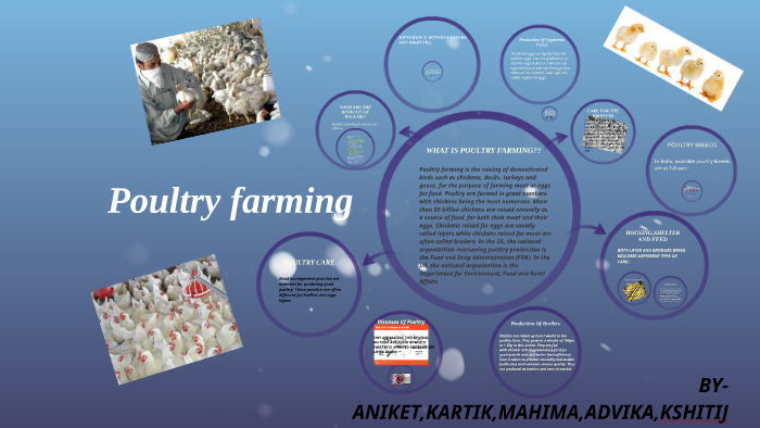 Poultry farming by kshitij chandra on Prezi