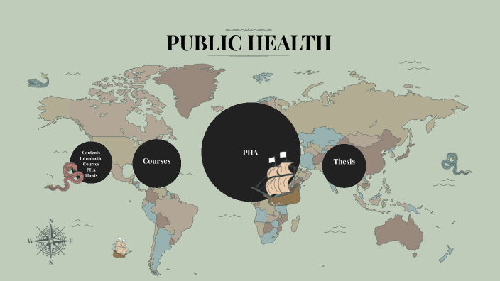 PUBLIC HEALTH by kin bin on Prezi
