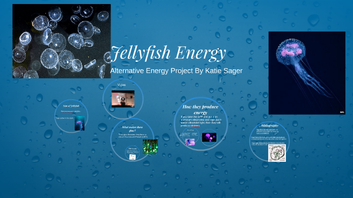 Jellyfish Energy by Katie Sager on Prezi
