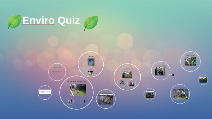 Enviro Quiz by Lizzy Robins